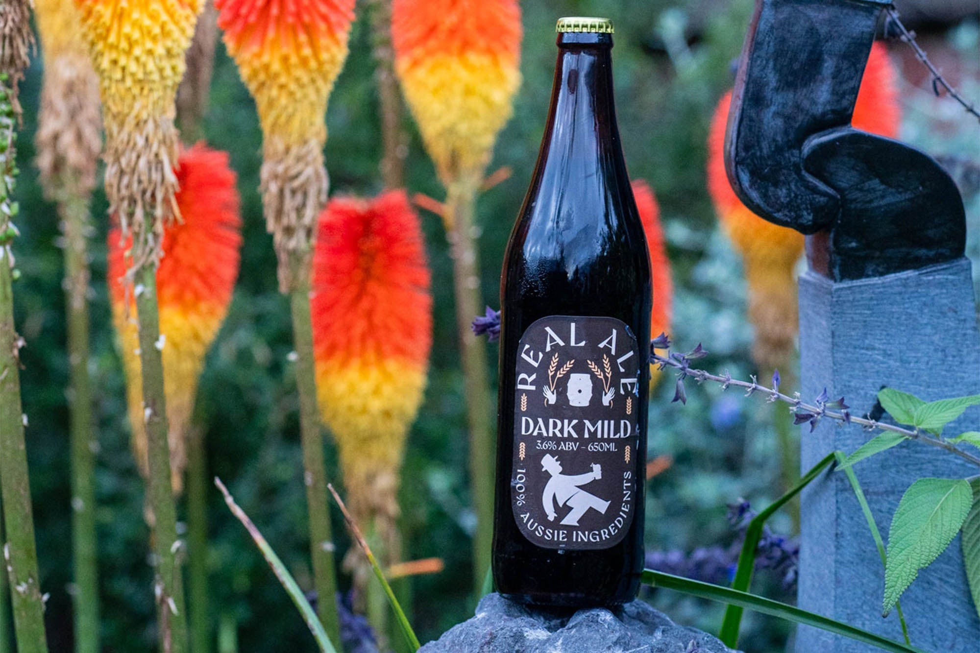 Mild Ales: The Style That Almost Disappeared – Carwyn Cellars