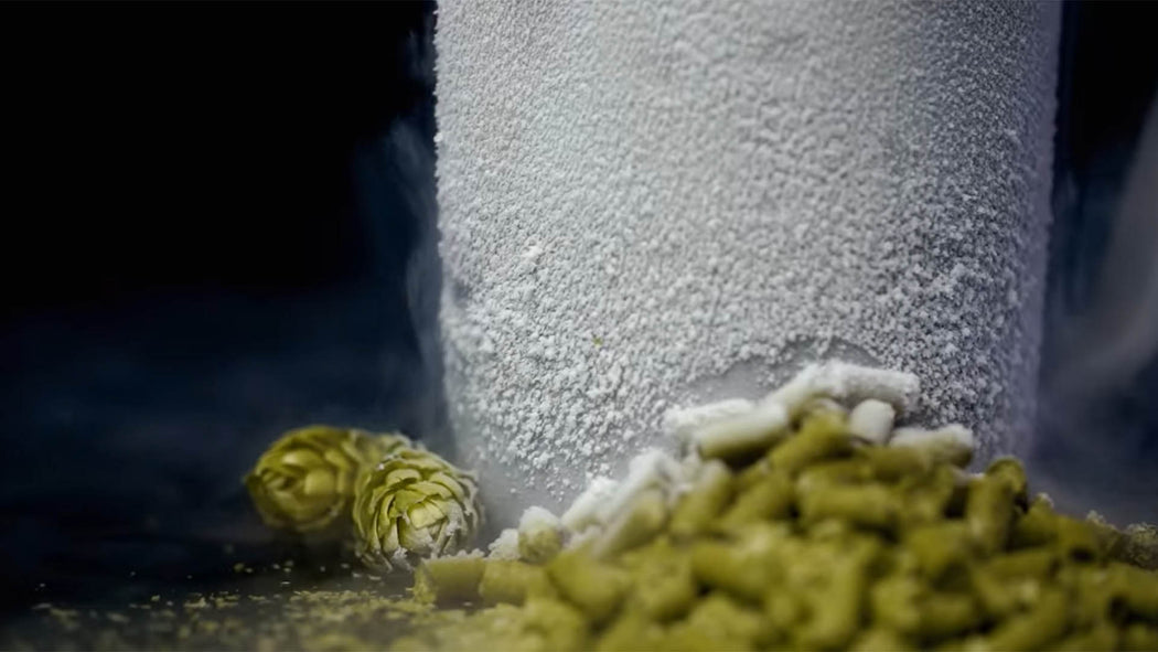 The Thousand Faces of Citra & The New World of Hop Products – Carwyn ...