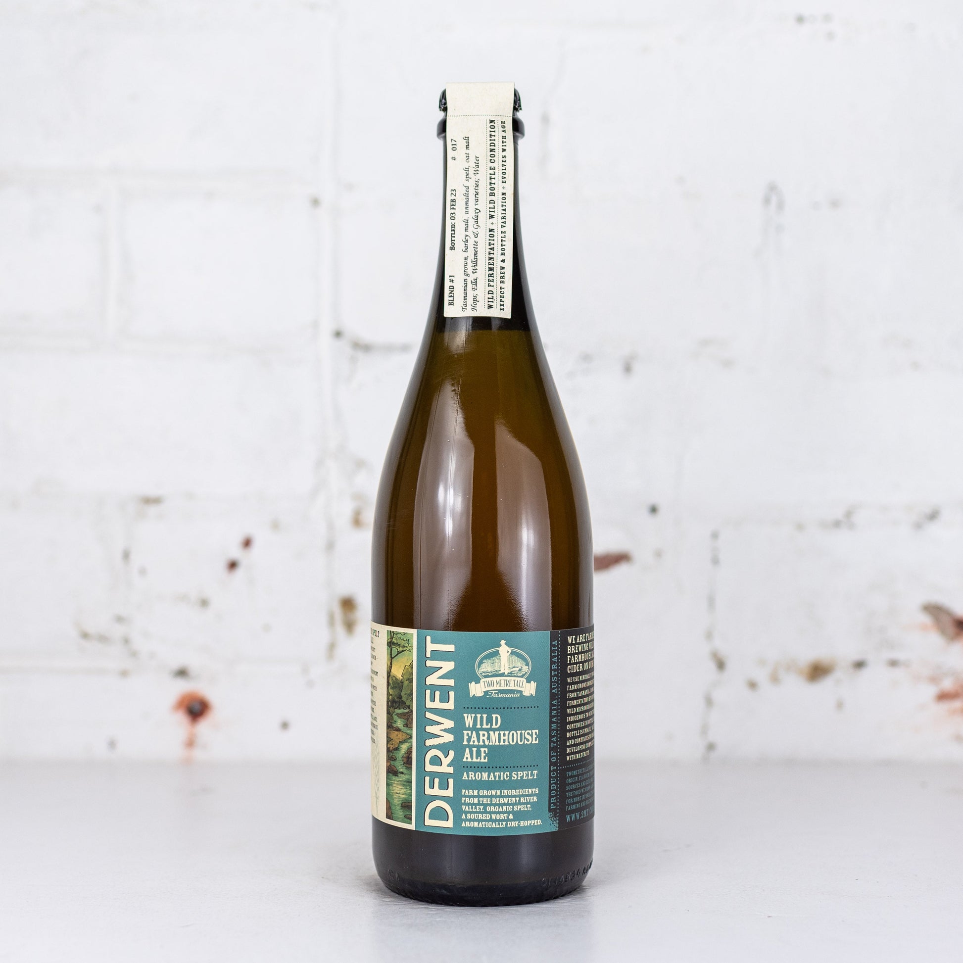 Two Metre Tall - Derwent Wild Farmhouse Ale 750ml – Carwyn Cellars