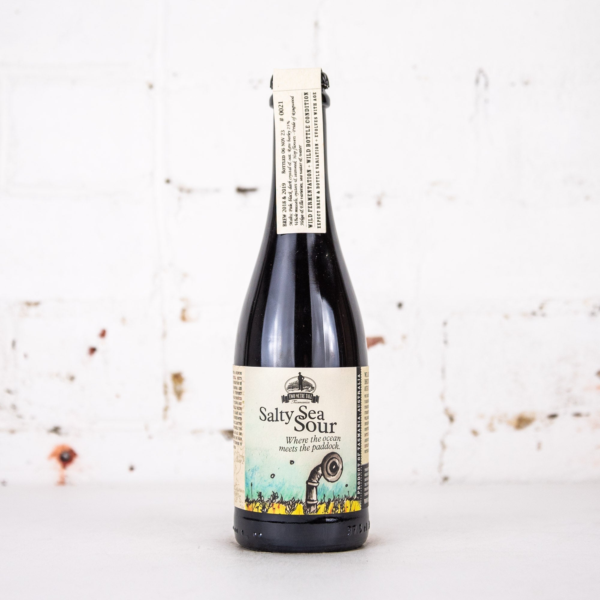 Two Metre Tall - Salty Sea Sour 375ml – Carwyn Cellars